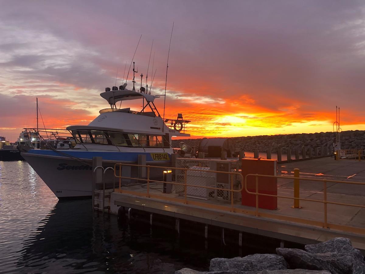 Southwestern Fresh Fish - Scoop Digital - Australia's largest lifestyle ...