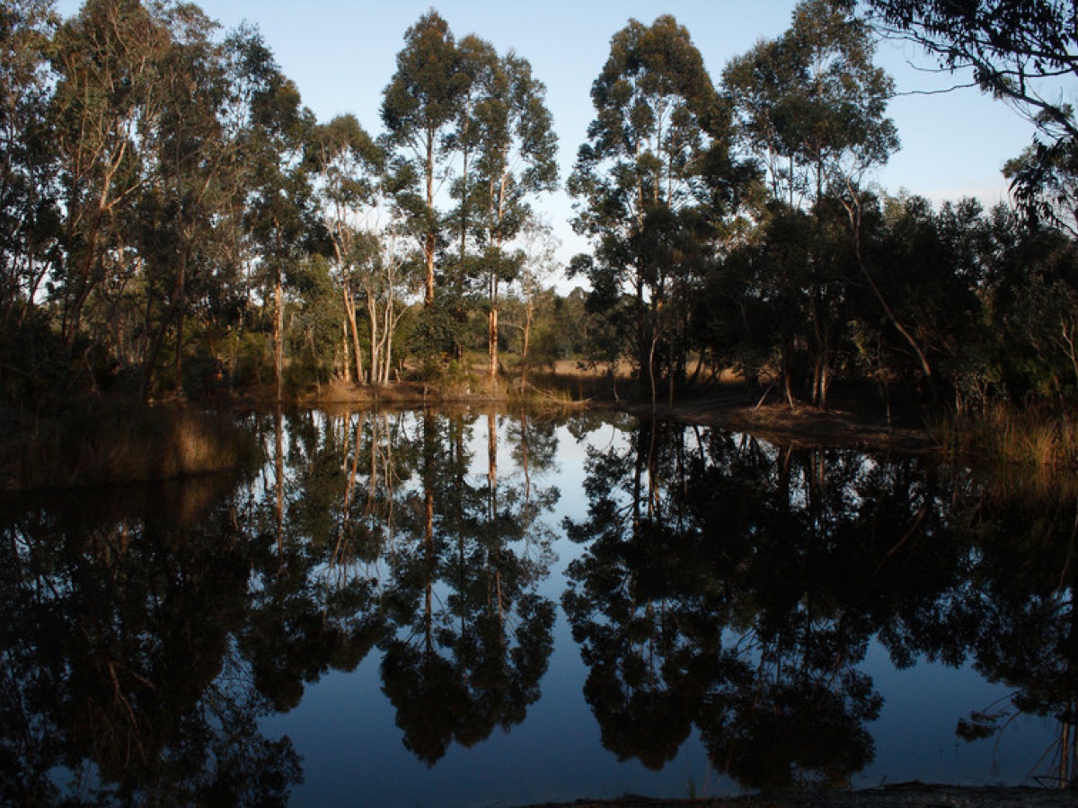 Tone-Perup Nature Reserve - Scoop Digital - Australia's largest ...