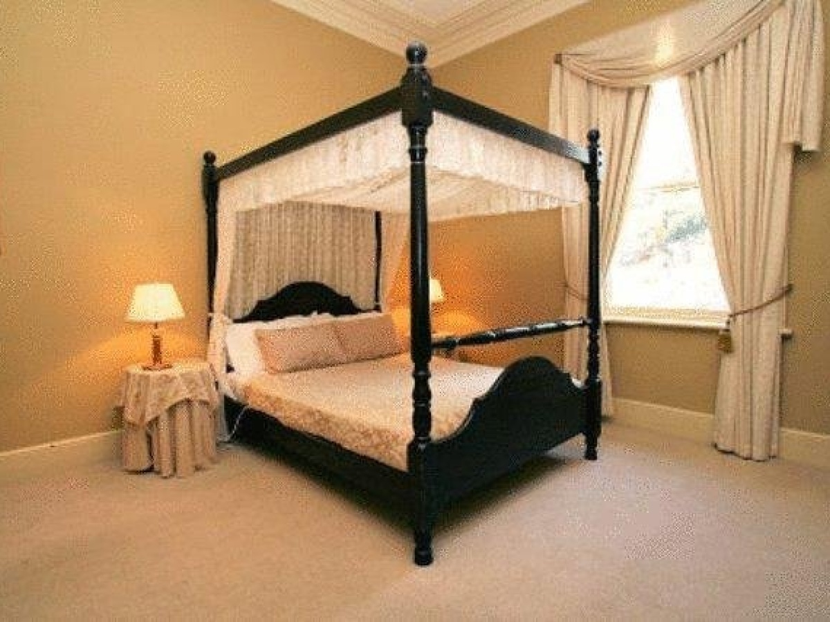 Waratah On York - Scoop Digital - Australia's largest lifestyle & travel network