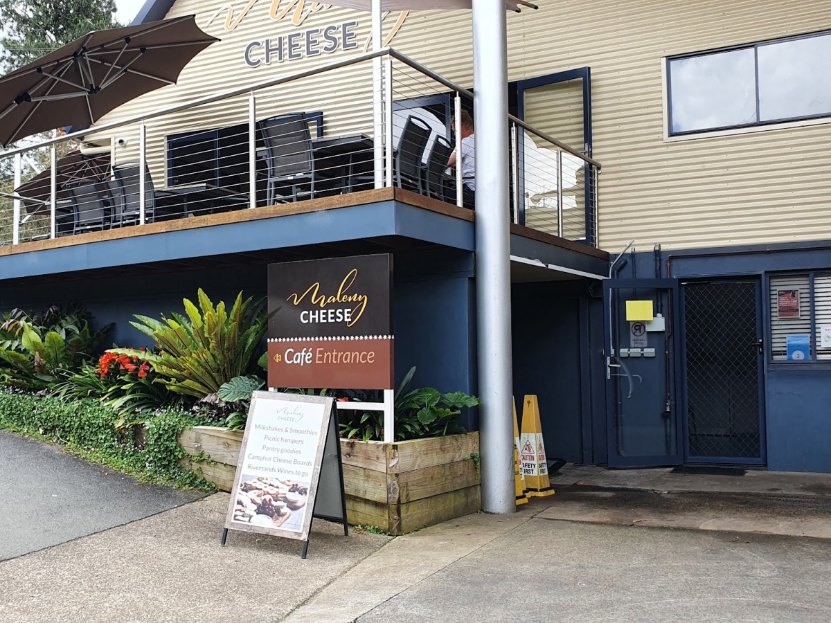 Maleny Cheese - Scoop Digital - Australia's largest lifestyle & travel ...