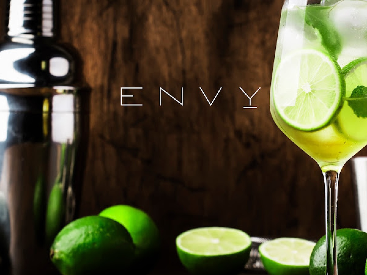 Envy Bar - Scoop Digital - Australia's largest lifestyle & travel network