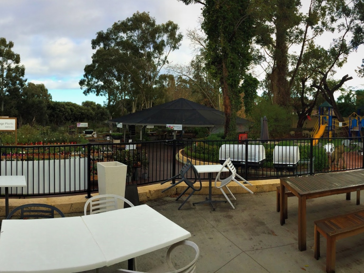 Lakeview Cafe - Scoop Digital - Australia's largest lifestyle & travel ...