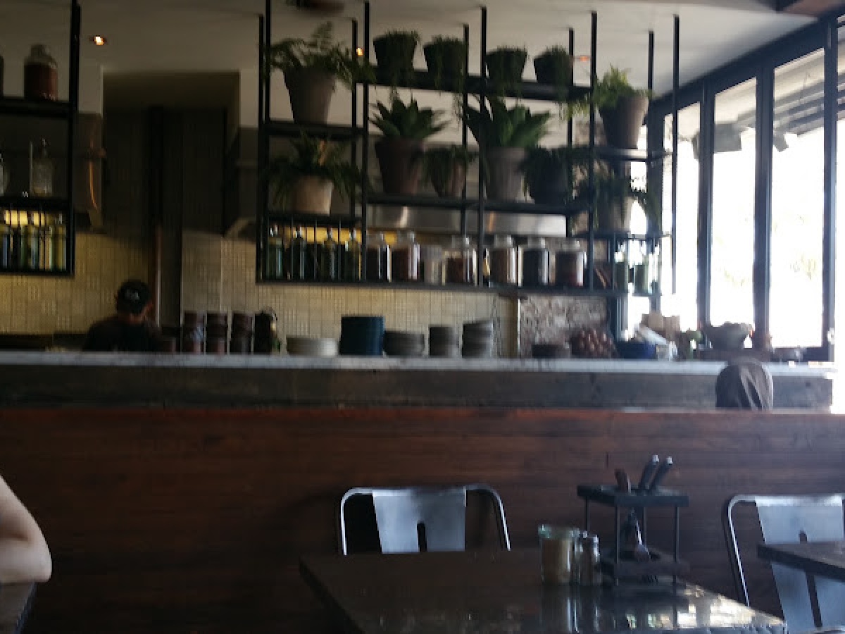Zia Kitchen - Scoop Digital - Australia's largest lifestyle & travel ...