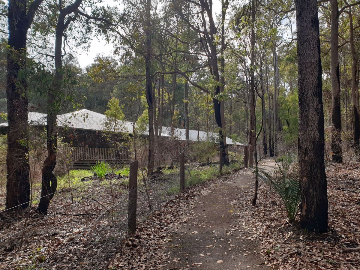 Wellington Discovery Forest - Scoop Digital - Australia's largest ...