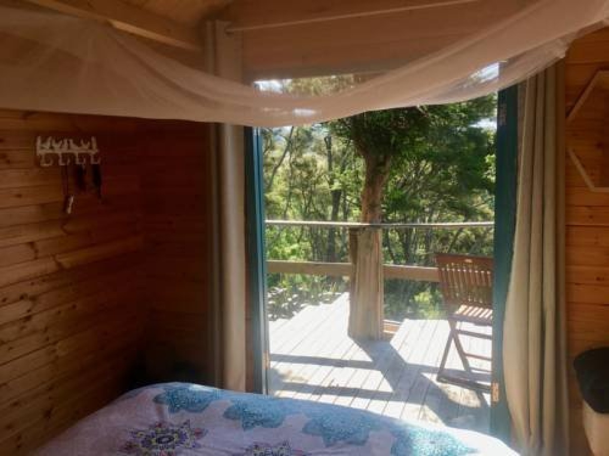 Tui Ridge - Scoop Digital - Australia's largest lifestyle & travel network