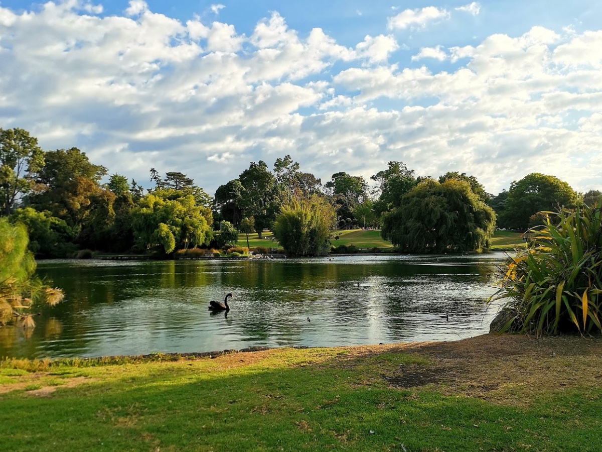 Western Springs Park - Scoop Digital - Australia's largest lifestyle ...