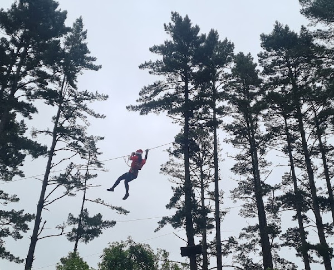 Adrenalin Forest Wellington - Scoop Digital - Australia's largest ...