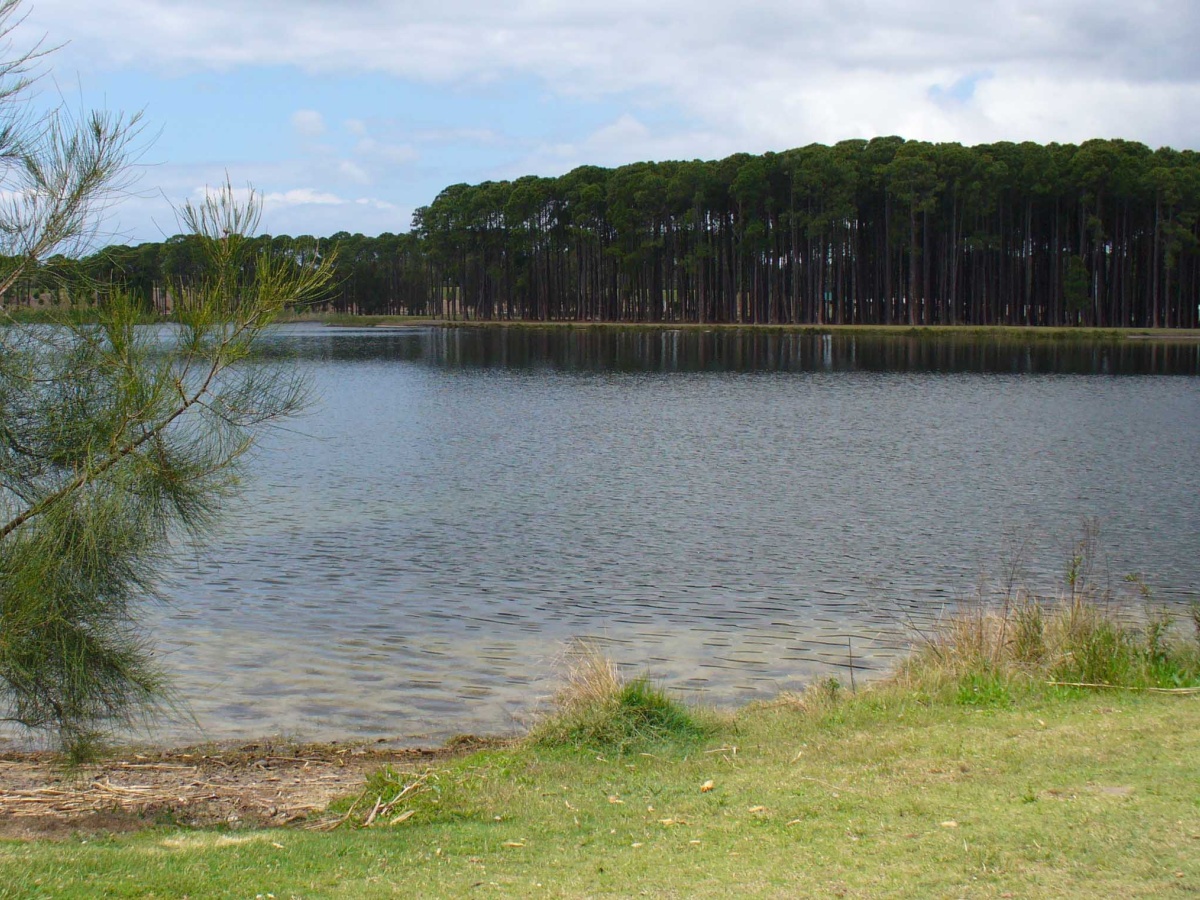 Pizzey Park - Scoop Digital - Australia's largest lifestyle & travel ...