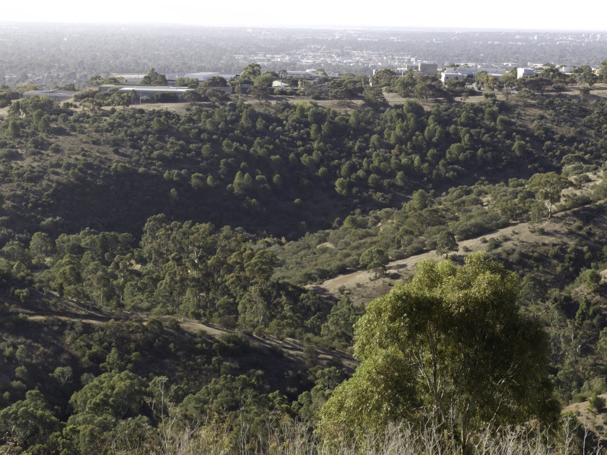 Sturt Gorge Recreation Park - Scoop Digital - Australia's largest ...