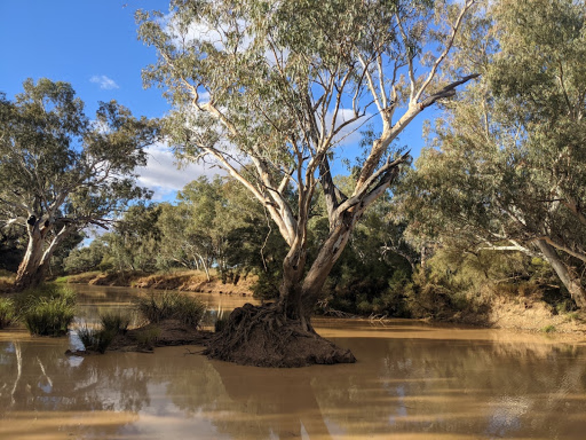 Bulloo River Walk - Scoop Digital - Australia's largest lifestyle ...