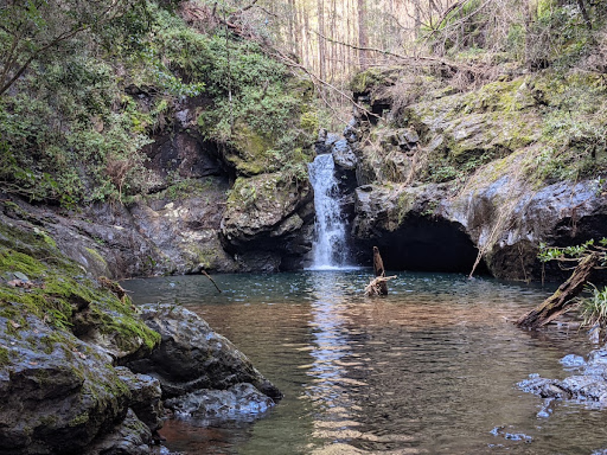 Potoroo Falls picnic area - Scoop Digital - Australia's largest ...
