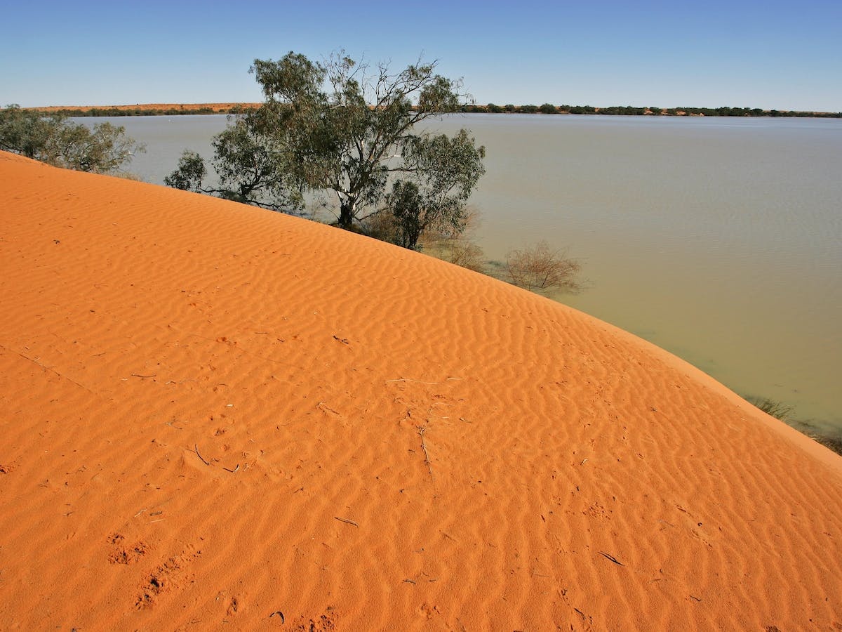 Innamincka Regional Reserve - Scoop Digital - Australia's largest ...