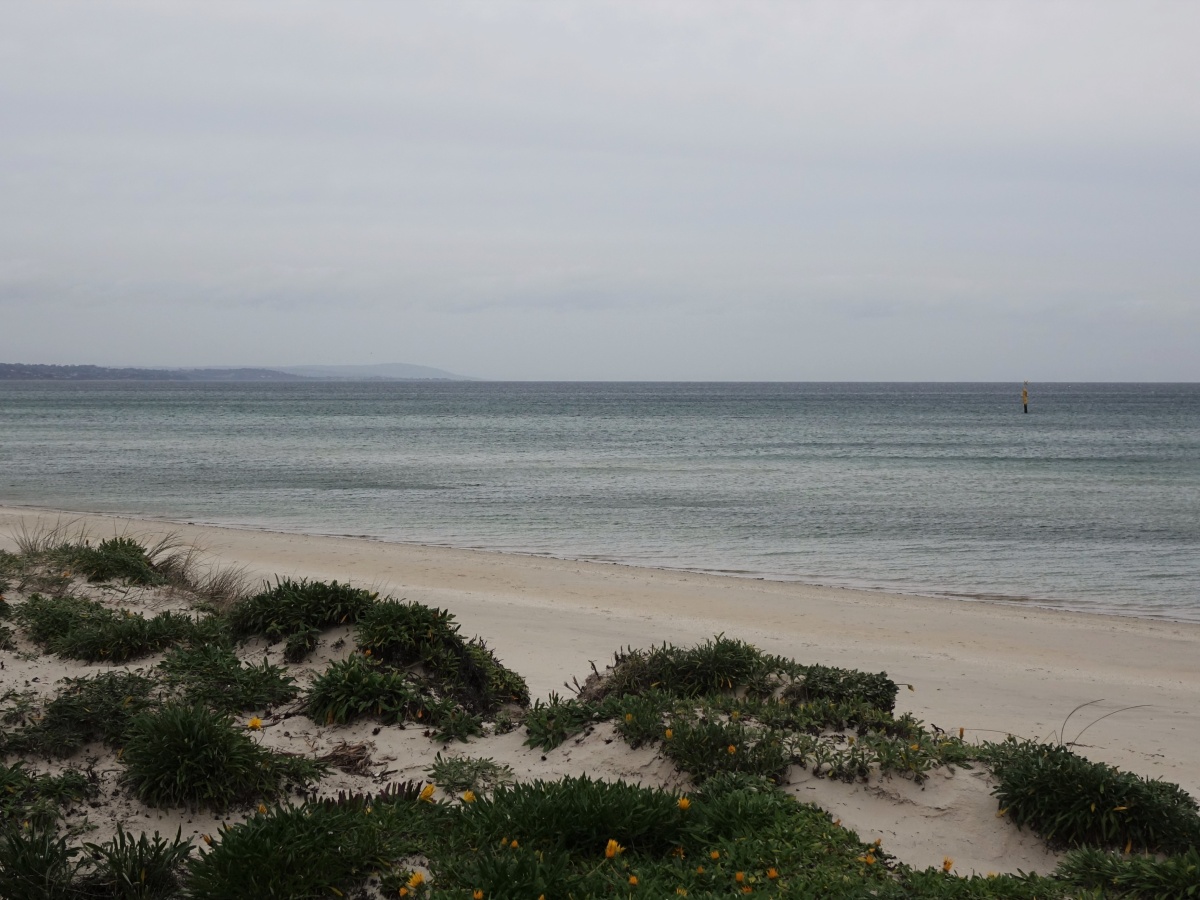 Patterson River - Scoop Digital - Australia's largest lifestyle ...