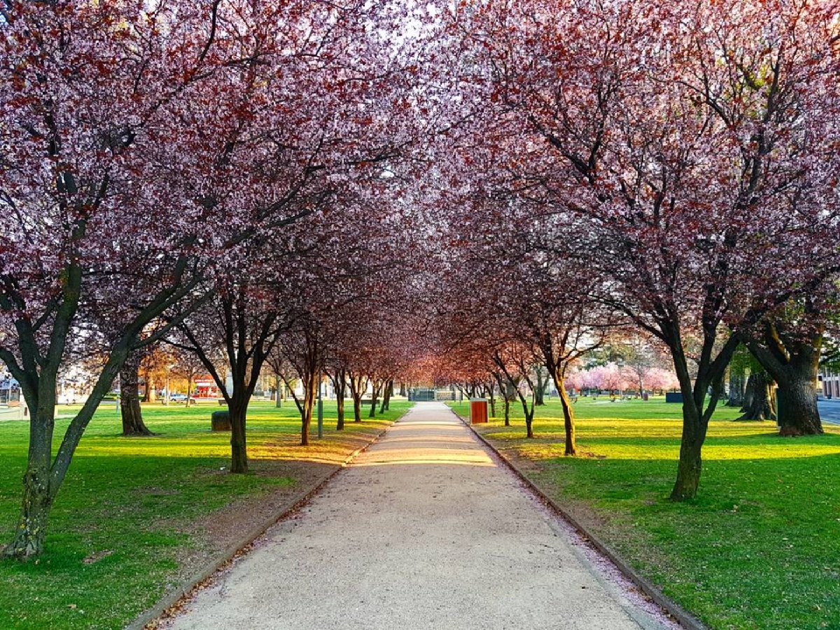 Robertson Park - Scoop Digital - Australia's largest lifestyle & travel ...