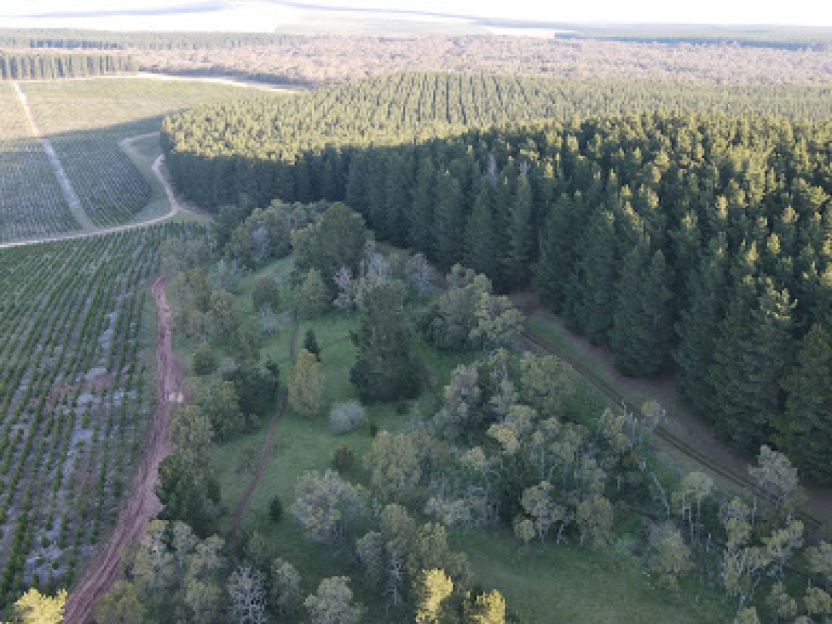 Mount Burr Recreational Trails - Scoop Digital - Australia's largest ...