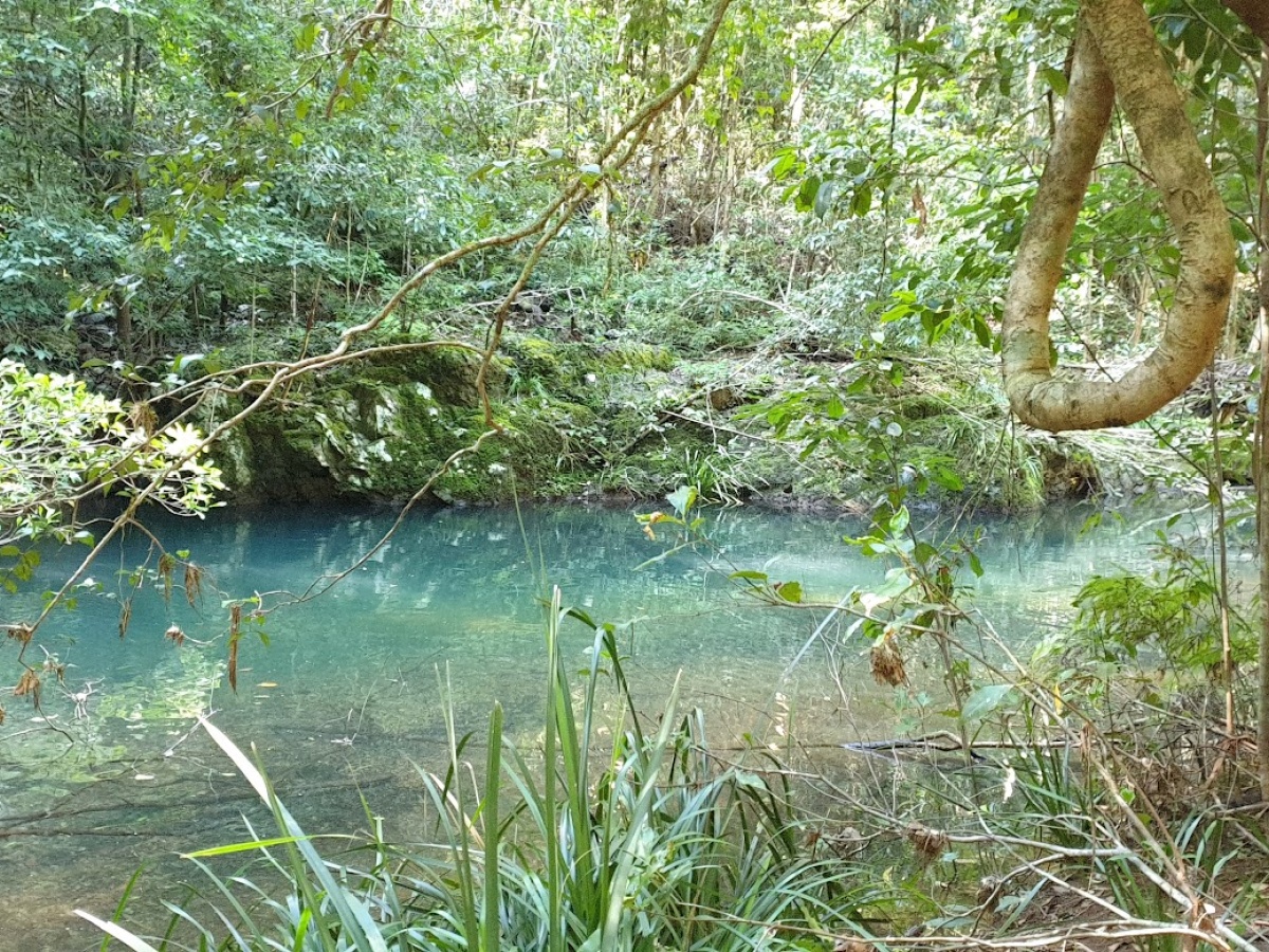 Potoroo Falls walk - Scoop Digital - Australia's largest lifestyle ...