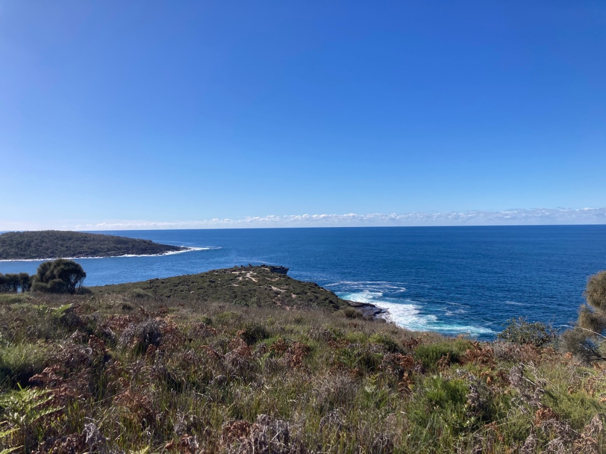 Snapper Point lookout - Scoop Digital - Australia's largest lifestyle ...
