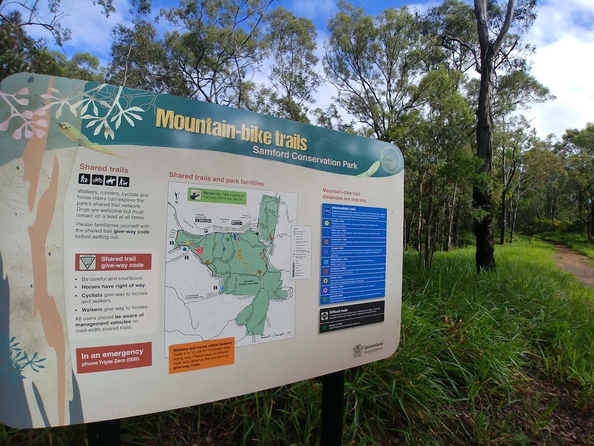 Samford Conservation Forest - Scoop Digital - Australia's largest ...