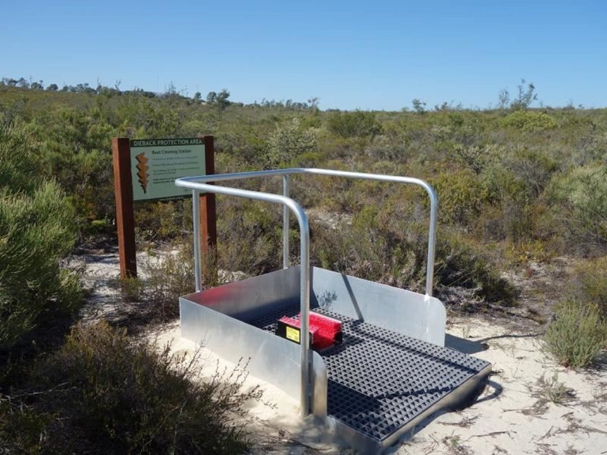 Badgingarra Nature Trail - Scoop Digital - Australia's largest ...