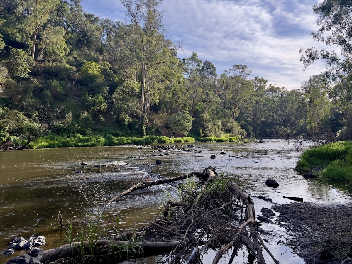Warrandyte River Reserve - Scoop Digital - Australia's largest lifestyle & travel network