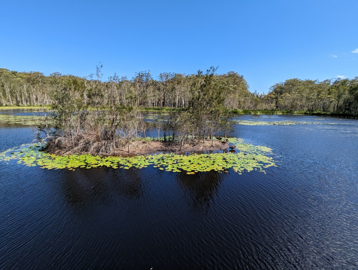 Urunga Wetlands Boardwalk - Scoop Digital - Australia's largest ...