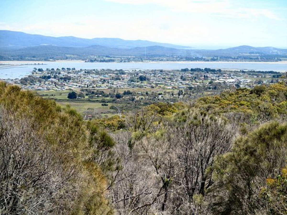 Mt George Lookout - Scoop Digital - Australia's largest lifestyle ...