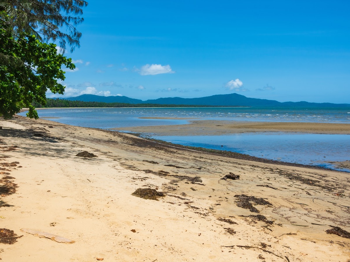 Wonga Beach - Scoop Digital - Australia's largest lifestyle & travel ...