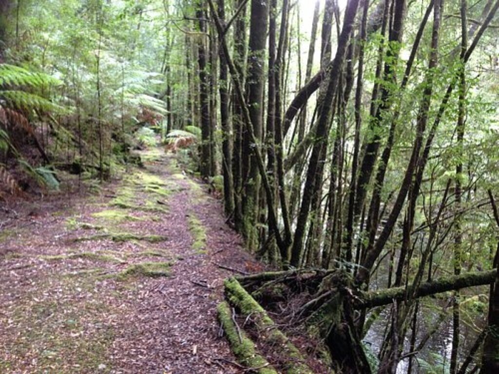 Kelly Basin - Scoop Digital - Australia's largest lifestyle & travel ...