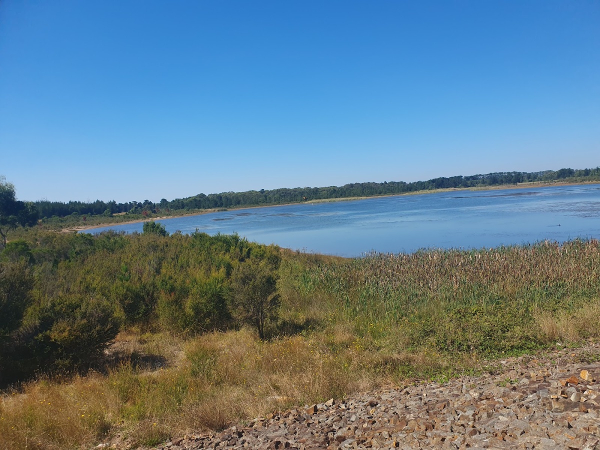 Bittern Reservoir - Scoop Digital - Australia's largest lifestyle ...