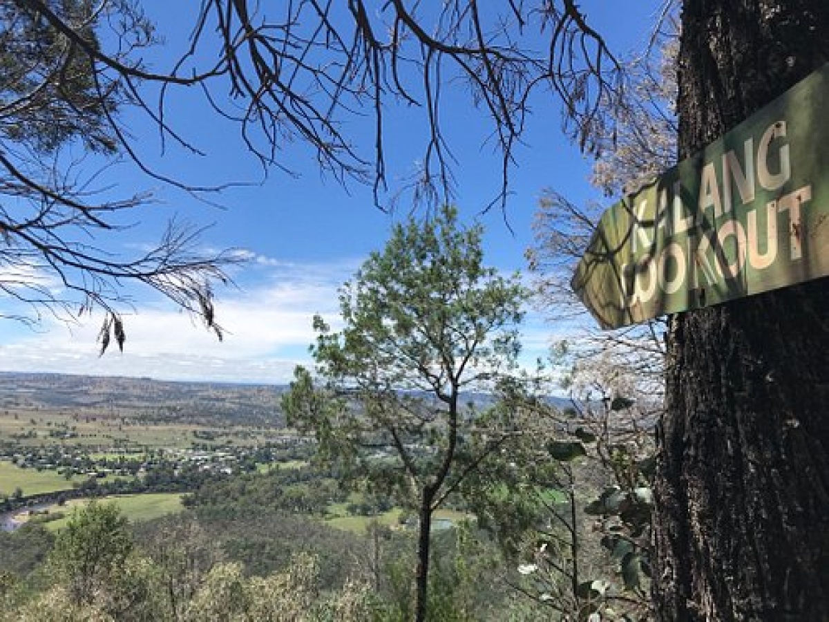 Mount Arthur Reserve Trails - Scoop Digital - Australia's largest ...