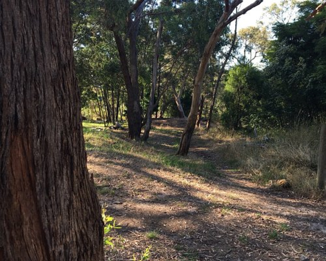 Wallace Reserve - Scoop Digital - Australia's largest lifestyle ...