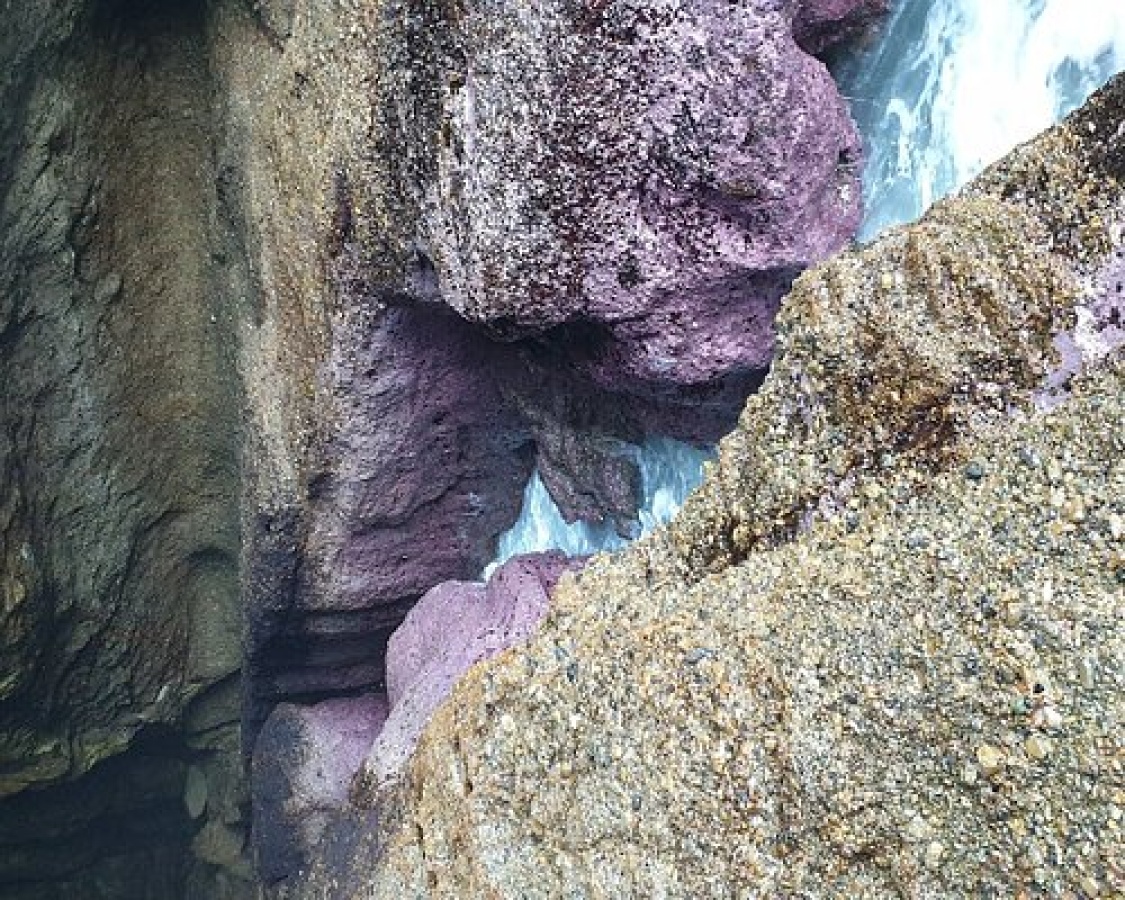 Pink Sea Cave - Scoop Digital - Australia's largest lifestyle & travel ...