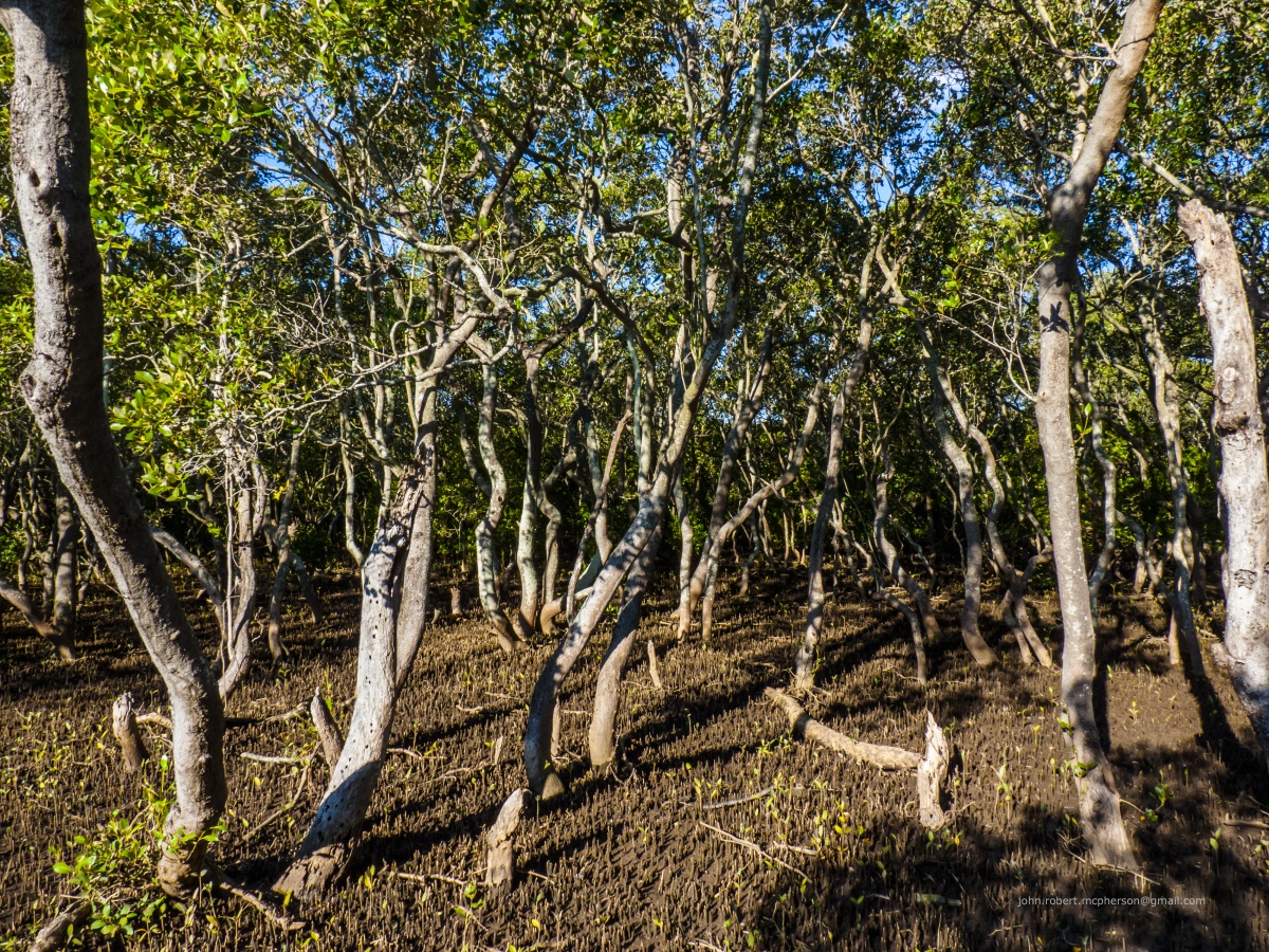Nudgee Beach - Scoop Digital - Australia's largest lifestyle & travel ...