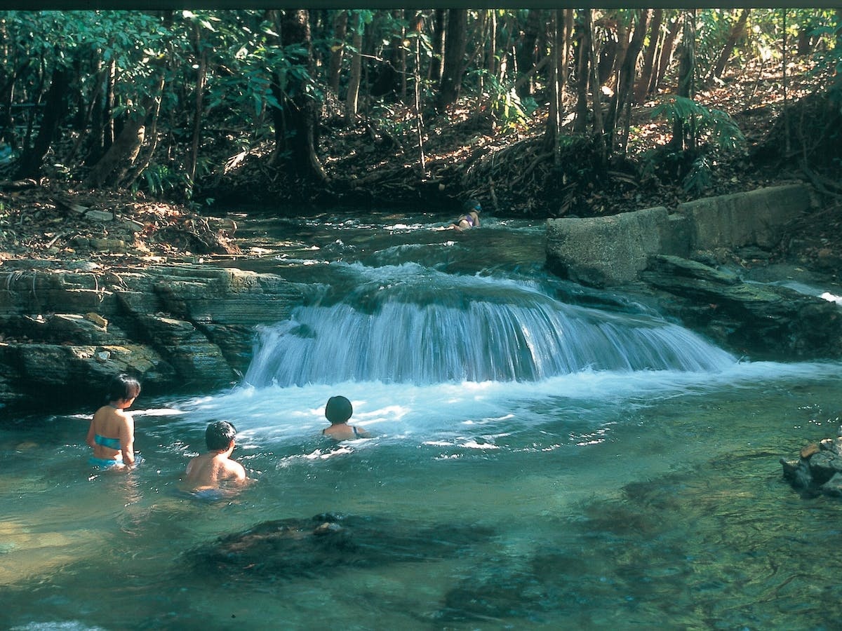 Berry Springs Nature Park - Scoop Digital - Australia's largest ...