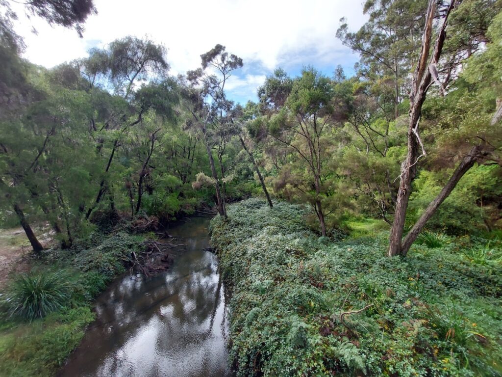 Gloucester National Park - Scoop Digital - Australia's largest ...