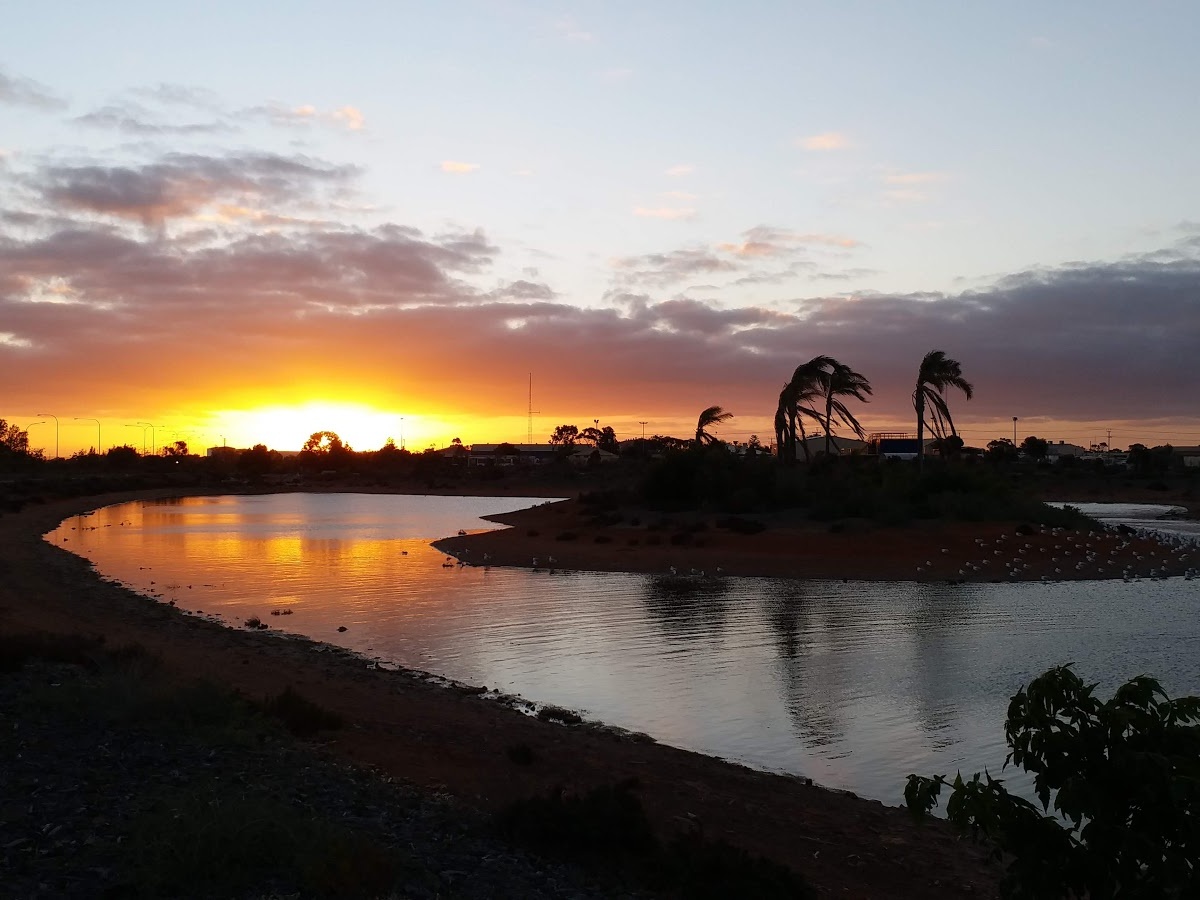 Whyalla Wetlands - Scoop Digital - Australia's largest lifestyle ...