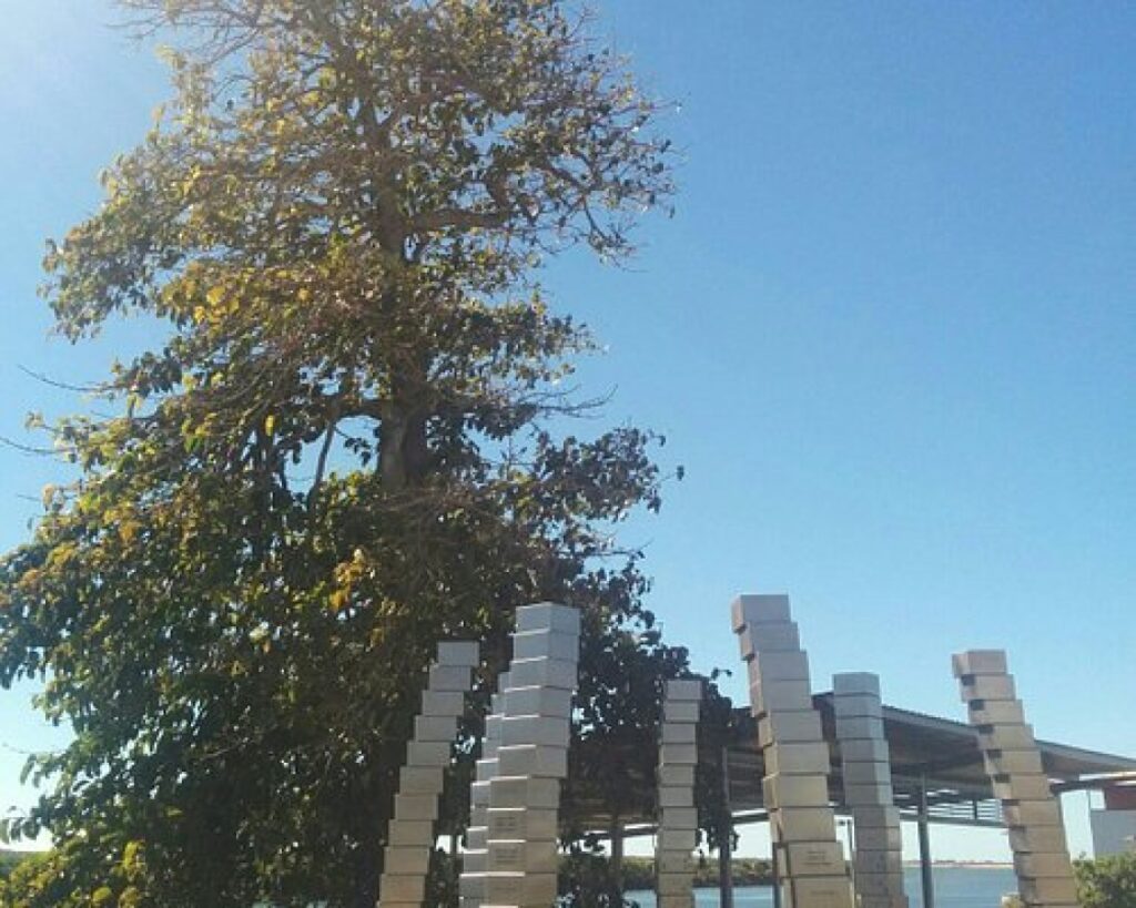 The Leichhardt Tree - Scoop Digital - Australia's largest lifestyle ...